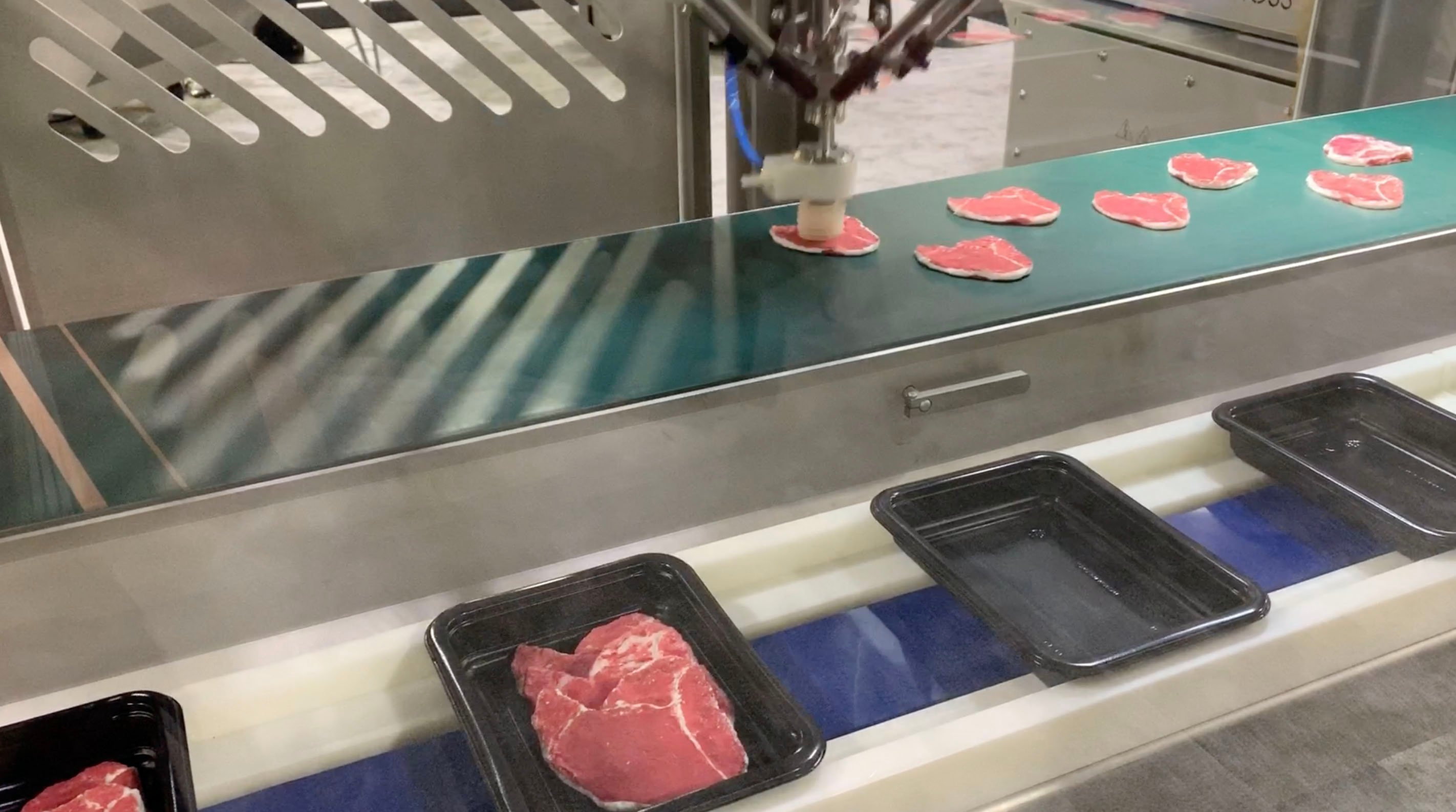 Sanitary Poultry Packaging | Poultry Packaging Machines